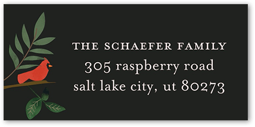 Cute Animals Address Label by Hello, Kelle | Shutterfly