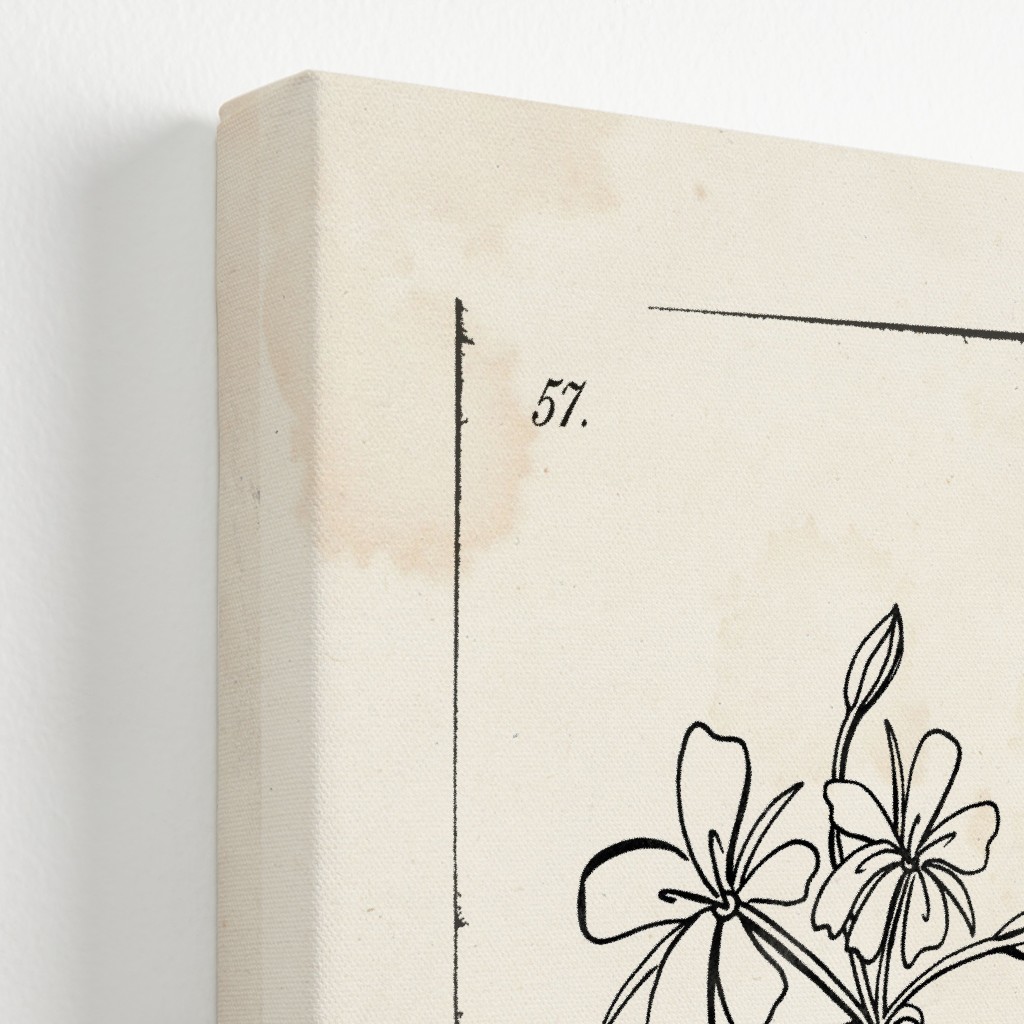 Vintage Plate Geranium Sketch - Beige and Black Canvas Print | Shutterfly