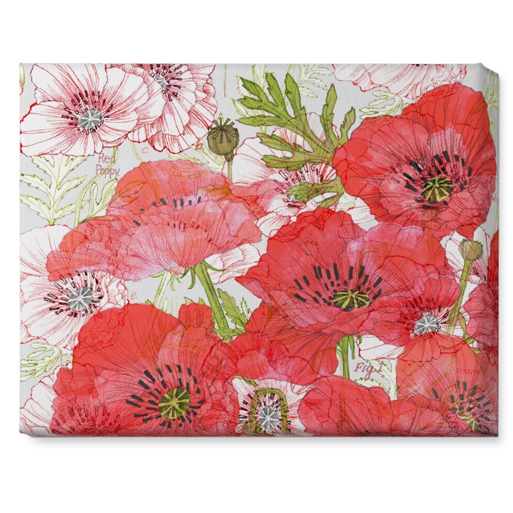 Poppies Romance - Red Canvas Print | Shutterfly