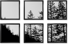 Multi Panel Wall Art | Split Canvas Prints | Shutterfly