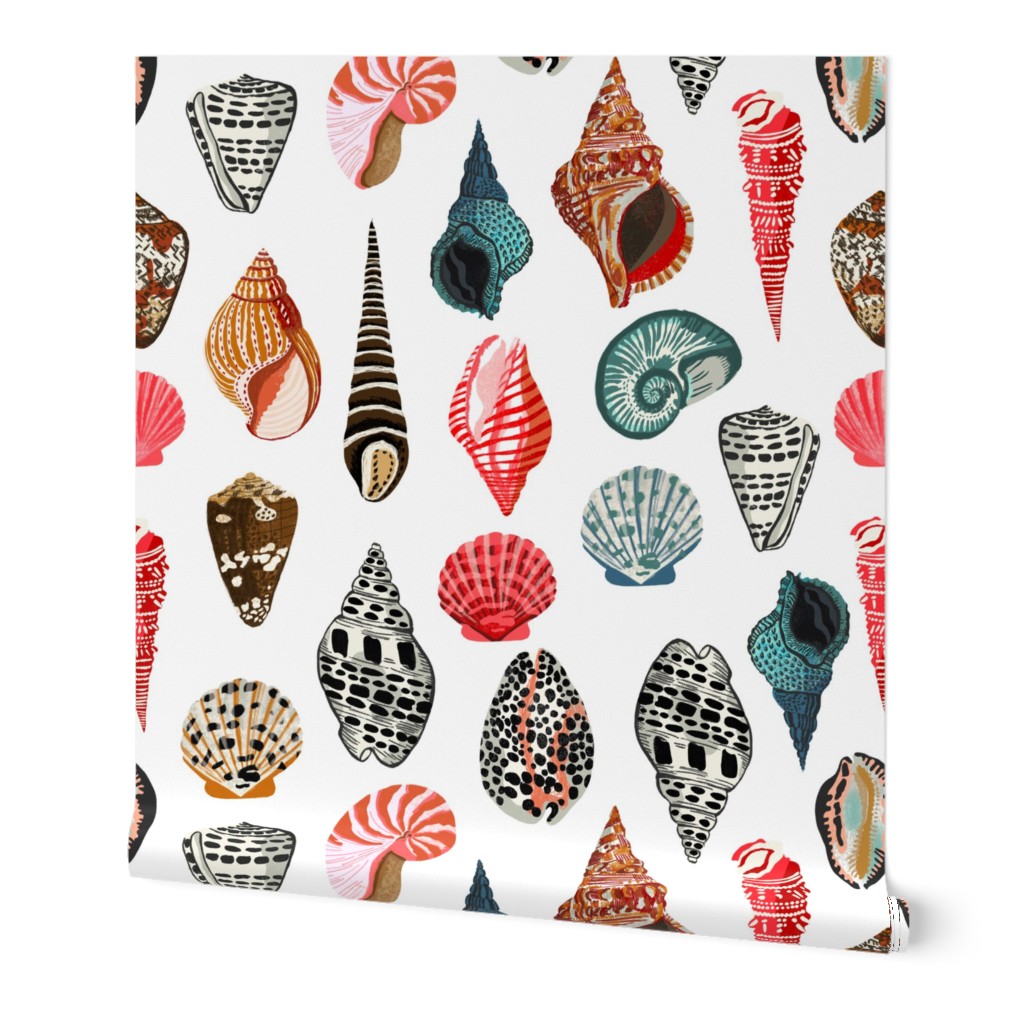 Ocean Seashells - Multi on White Wallpaper | Shutterfly