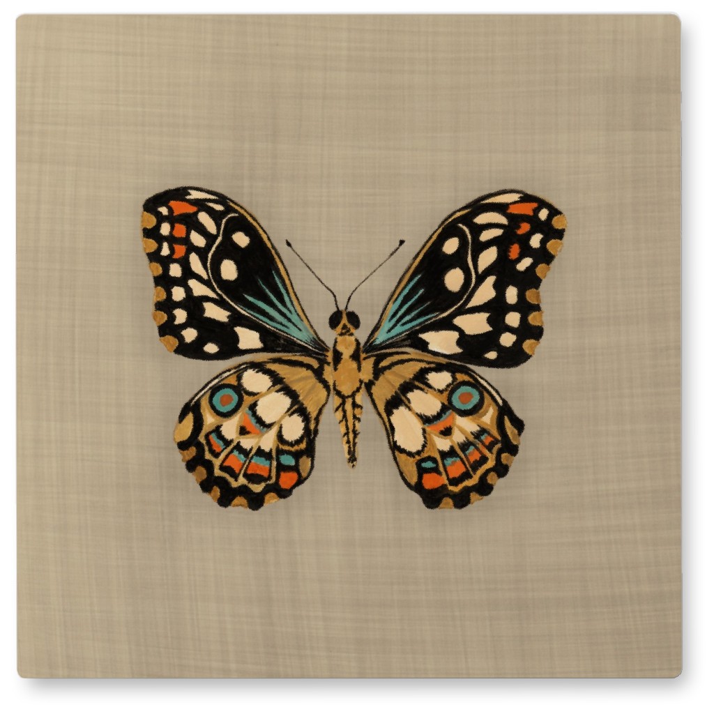 Butterfly Curio - Neutral Photo Tile | Shutterfly