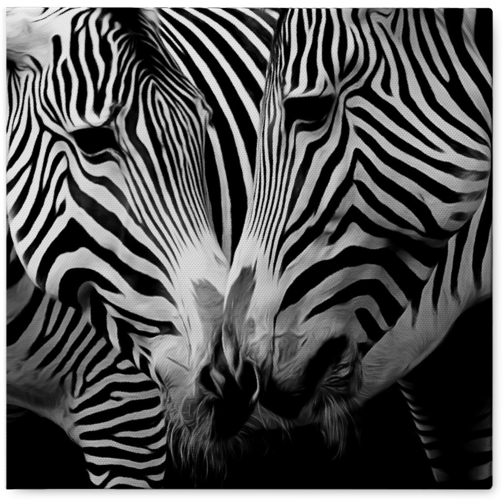 Zebra Nose Kiss Photo Tile | Shutterfly