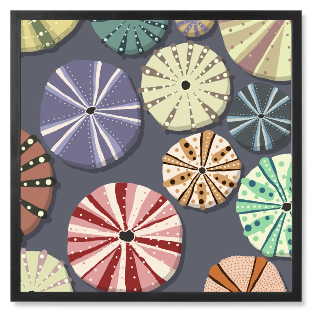 Sea Urchins - Multi Photo Tile | Shutterfly