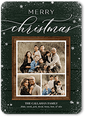 Big Family Tree 5x7 Stationery Card by Jill Smith | Shutterfly