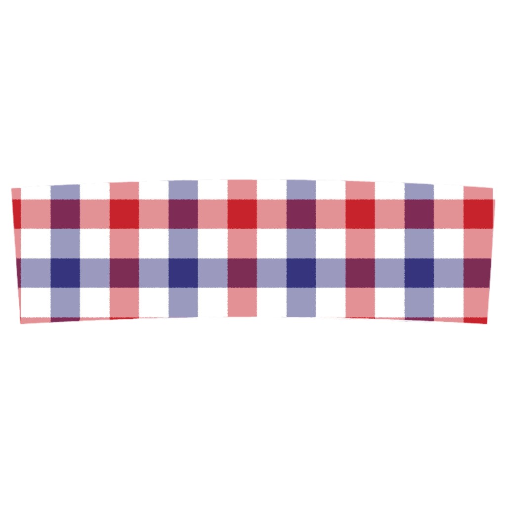 Red White and Blue Gingham Checks Travel Tumbler | Shutterfly