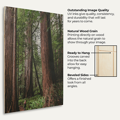 Take Shape Wall Art by Shutterfly | Shutterfly