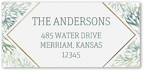Green Address Labels | Shutterfly