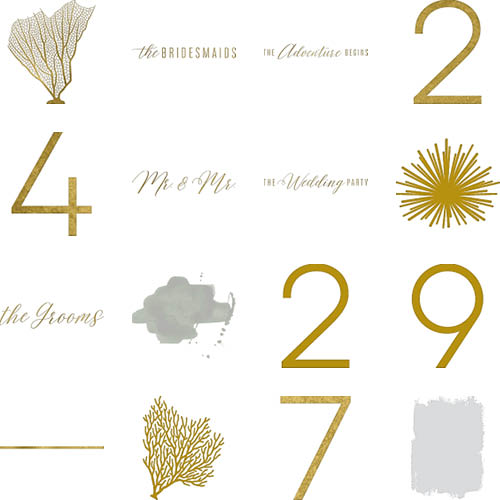 Beach Wedding Photo Book | Shutterfly