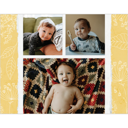 Seasonal Patterns Calendar Wall Calendar | Shutterfly