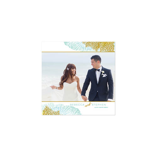 Beach Wedding Photo Book | Shutterfly