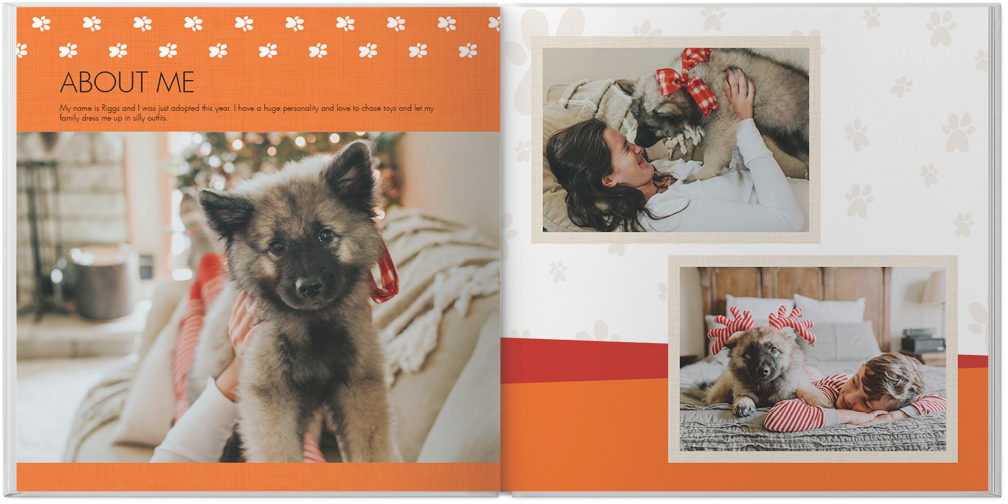 Pet Lover Photo Book | Shutterfly