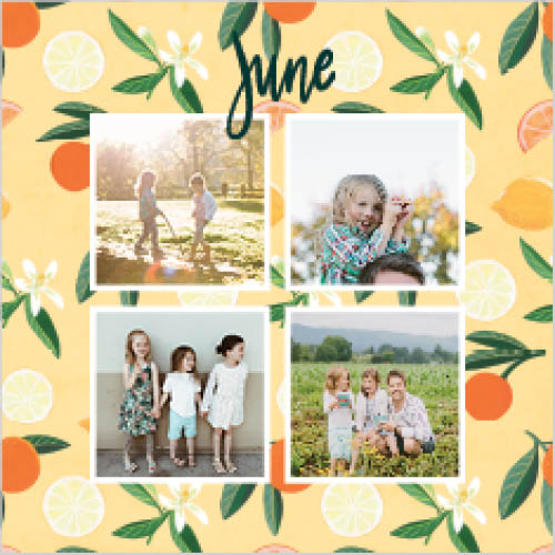 Whimsical Seasons Wall Calendar | Shutterfly